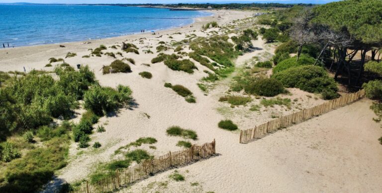 La Tamarissière : un trésor naturel que nous préservons ensemble | cahm
